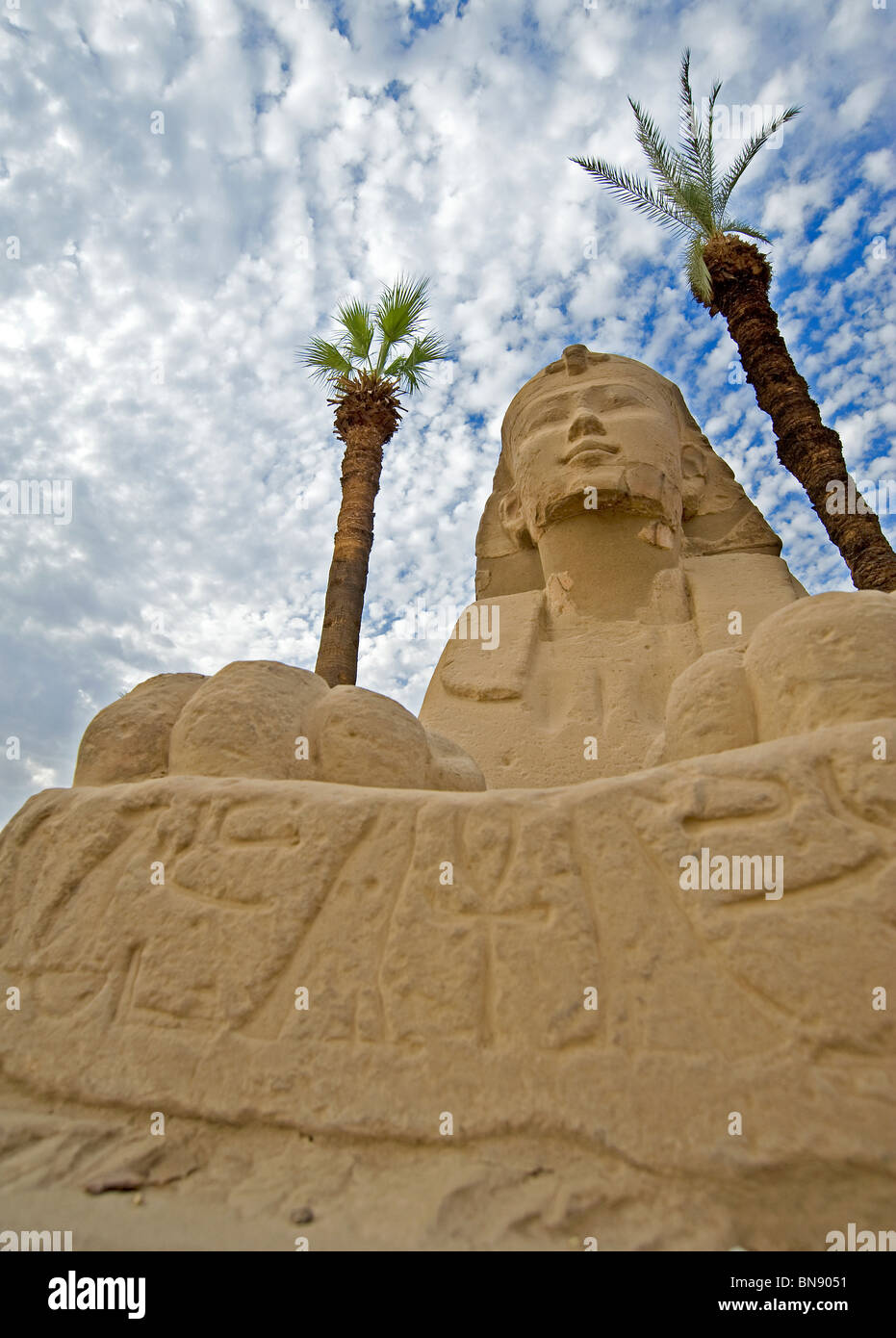 Small sphinx at Luxor Temple framed by two trees Stock Photo - Alamy