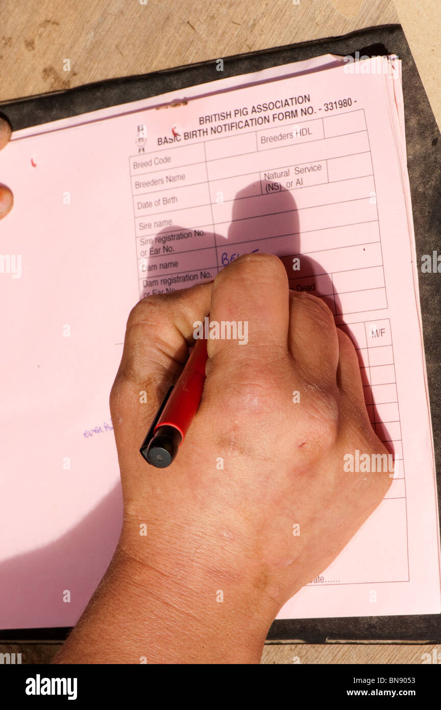 Recording and identification of piglets in a Birth Notification form ...