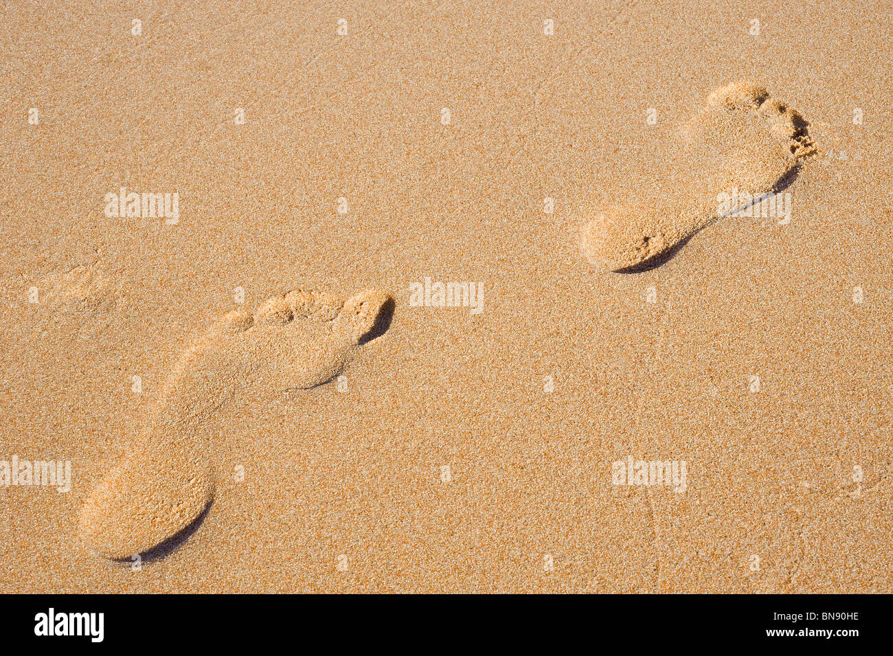 Footprints in wet sand on a beach Stock Photo - Alamy