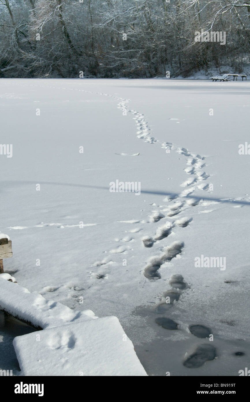 Footsteps in snow Stock Photo - Alamy