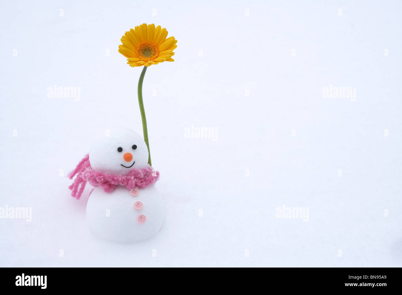 Snowman flower hi-res stock photography and images - Alamy