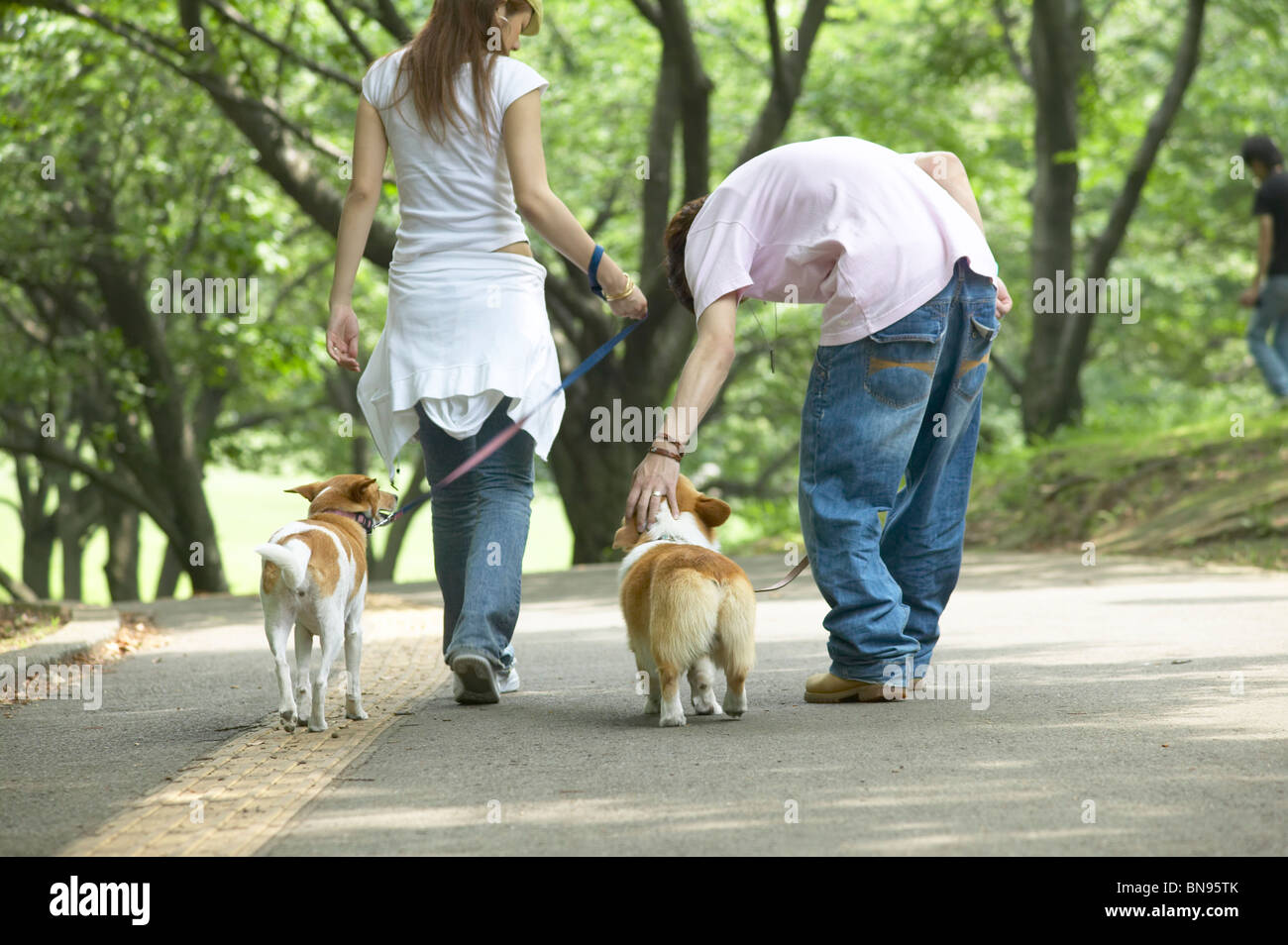 Couple walking their two dogs in a park Stock Photo - Alamy