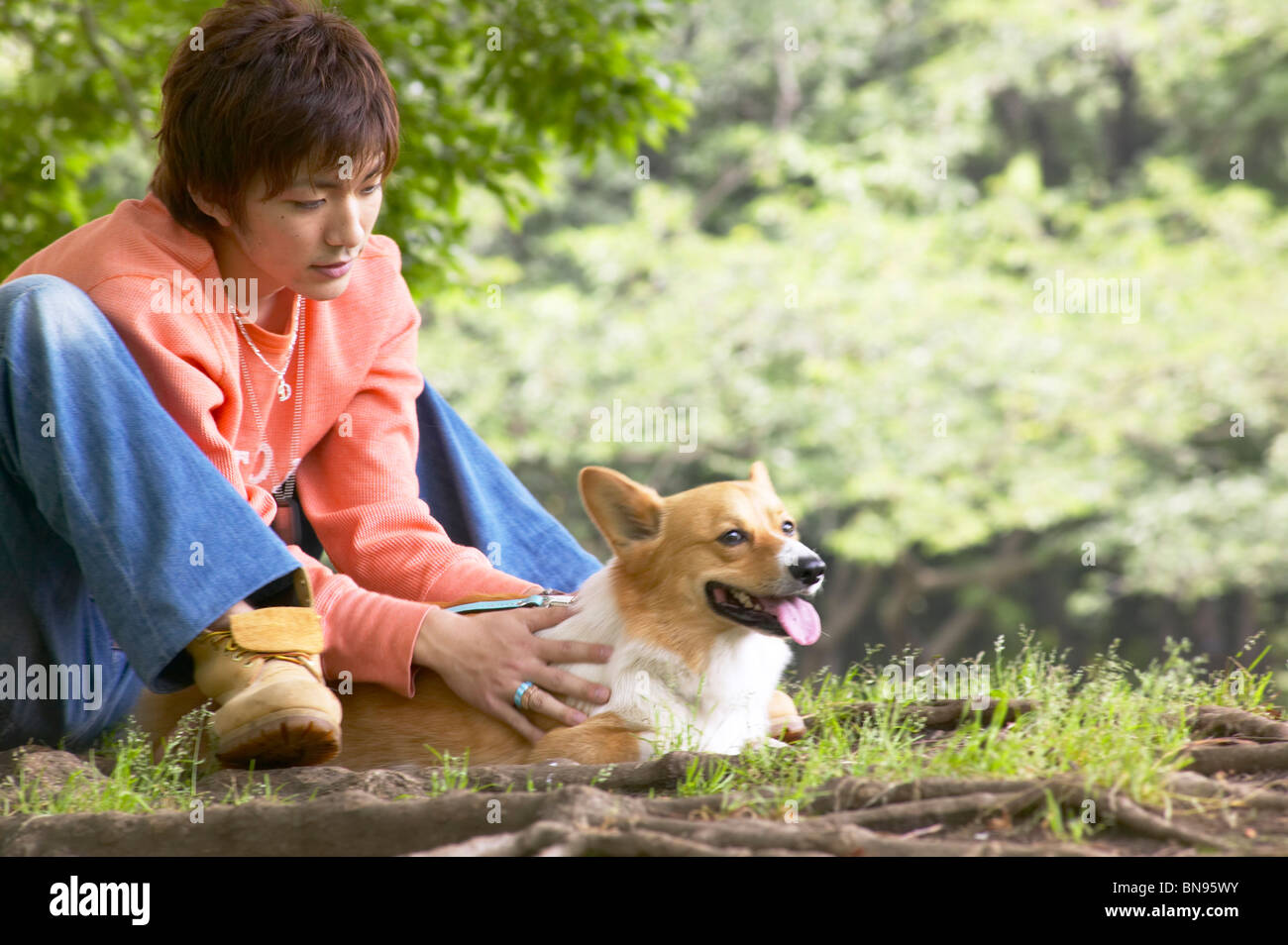 Dog under the tree hi-res stock photography and images - Alamy