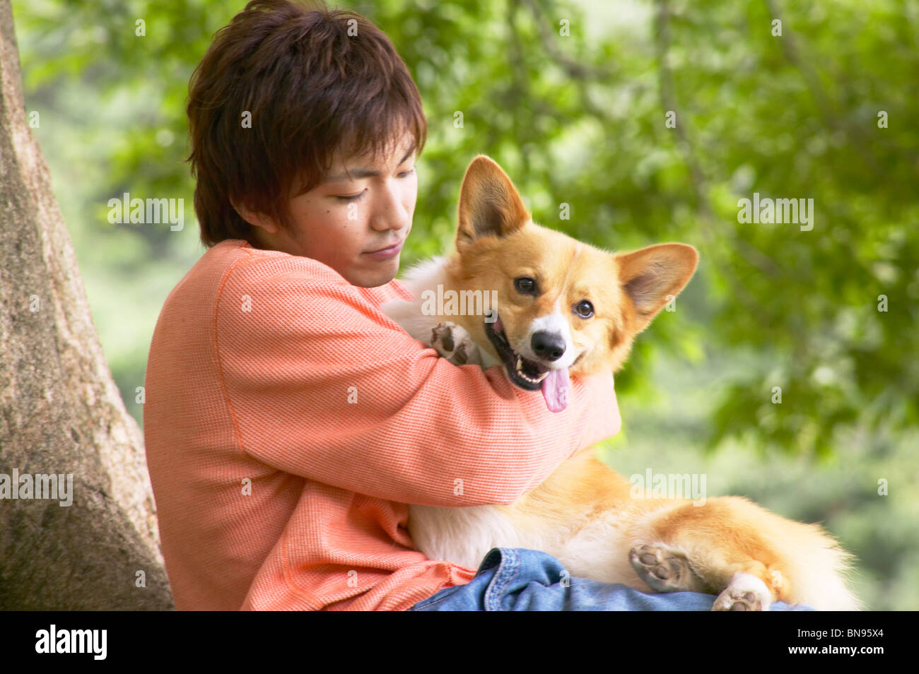 Man sitting under a tree with his dog Stock Photo - Alamy
