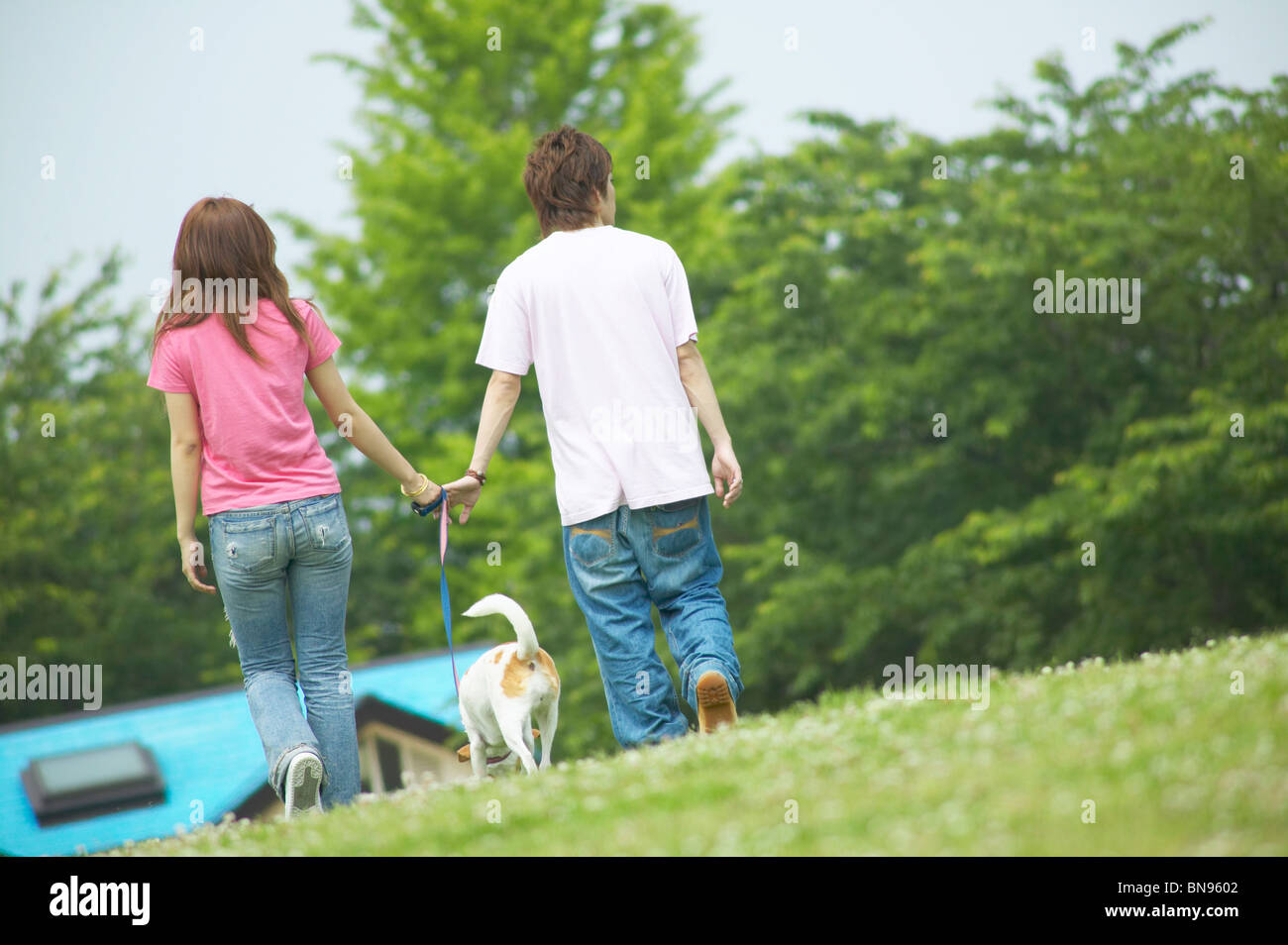 Couple walking their dog in a park Stock Photo - Alamy