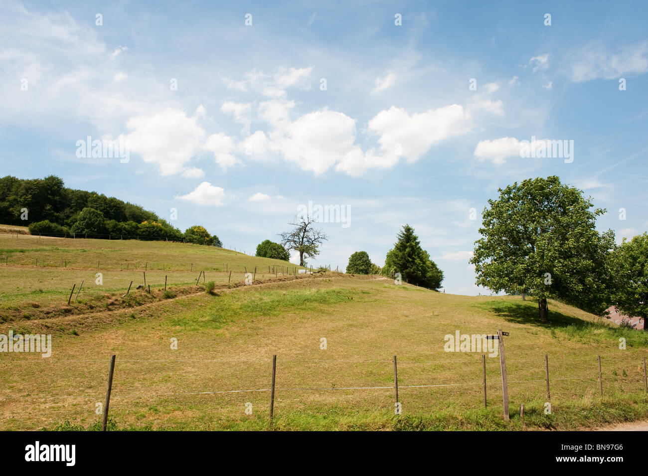 Dutch landscape with green hills and trees Stock Photo - Alamy
