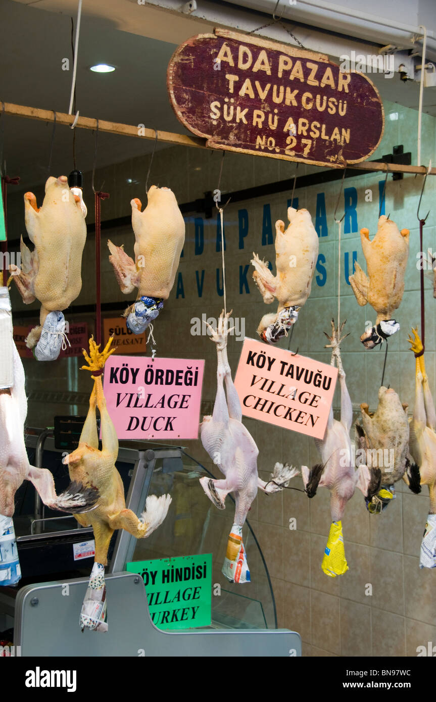 Istanbul poulterer Village Farm chicken duck Turkey Stock Photo - Alamy