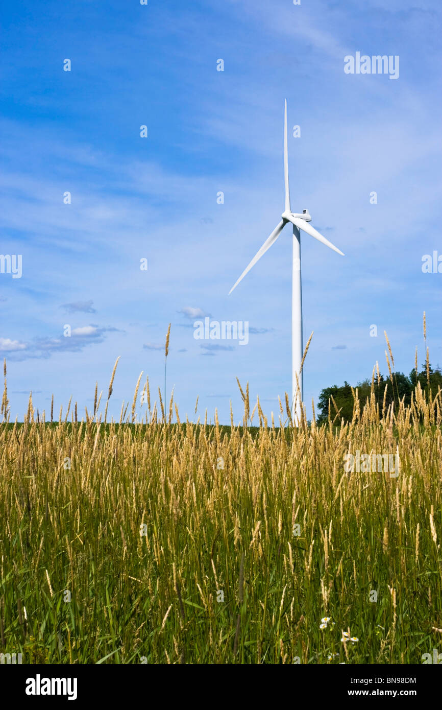 Maple ridge wind farm hi-res stock photography and images - Alamy