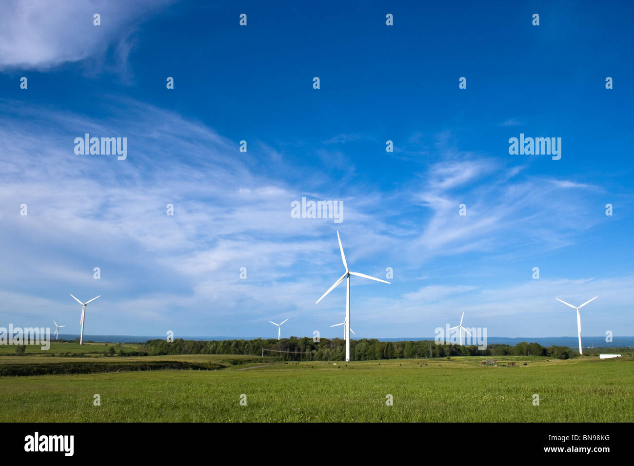 Wind Turbines at Maple Ridge wind farm, Lowville, NY. One of the ...