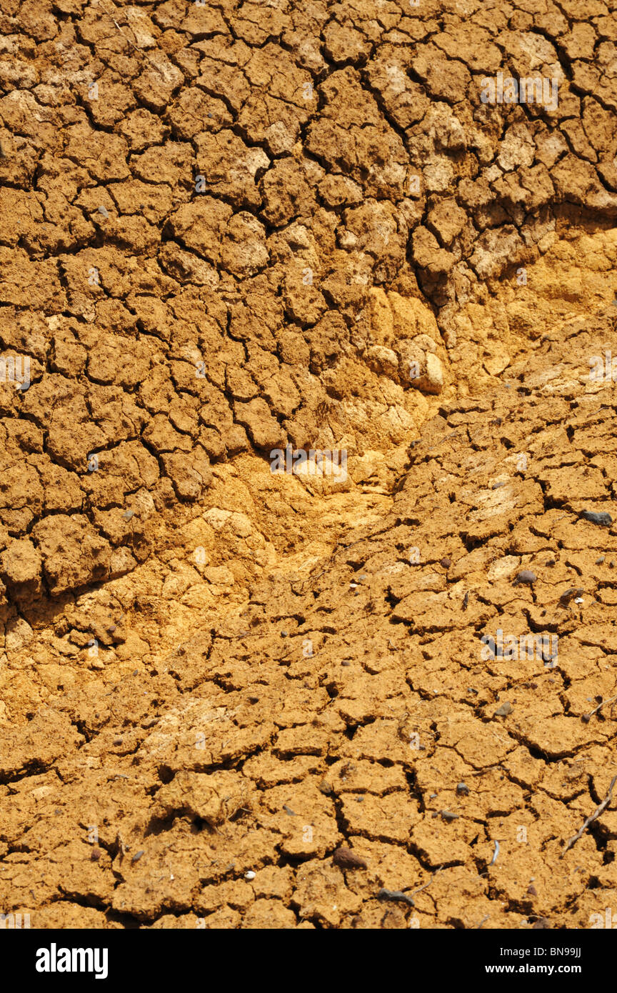 Cracked dry ground texture - background Stock Photo - Alamy