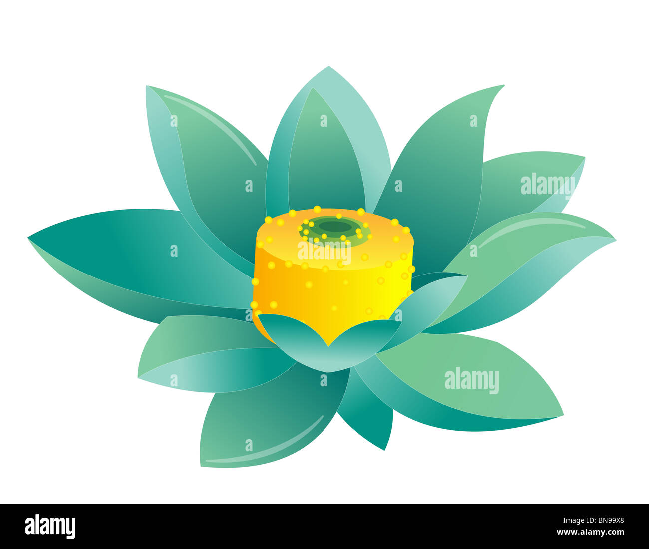 blue lotus isolate on the white background Stock Photo - Alamy