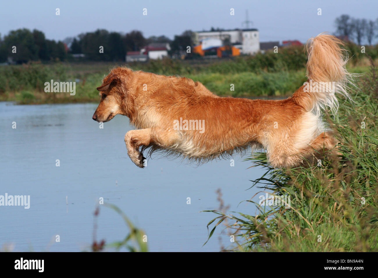 Golden water movement hi-res stock photography and images - Alamy