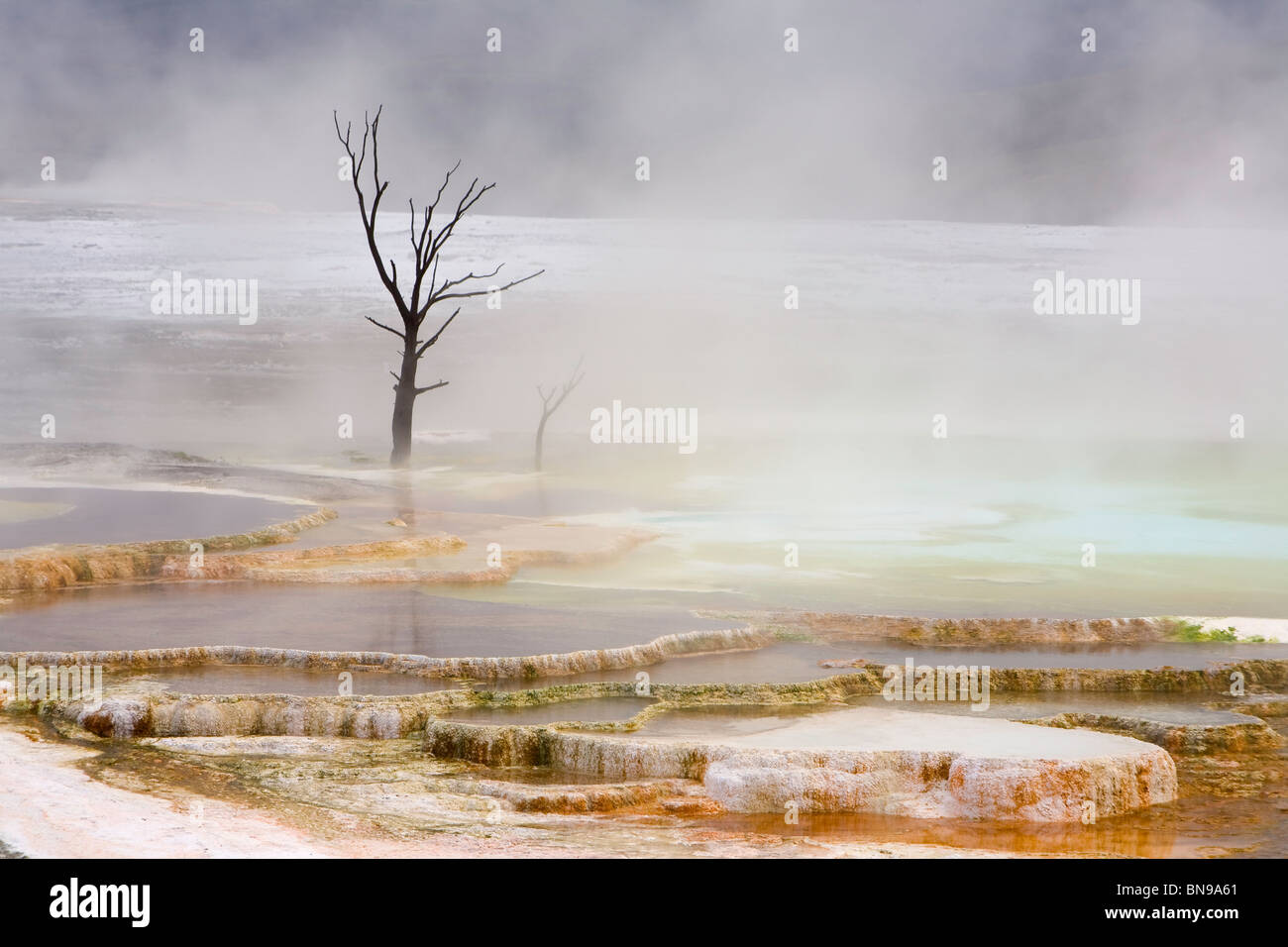 Yellowstone geothermal pools hi-res stock photography and images - Alamy