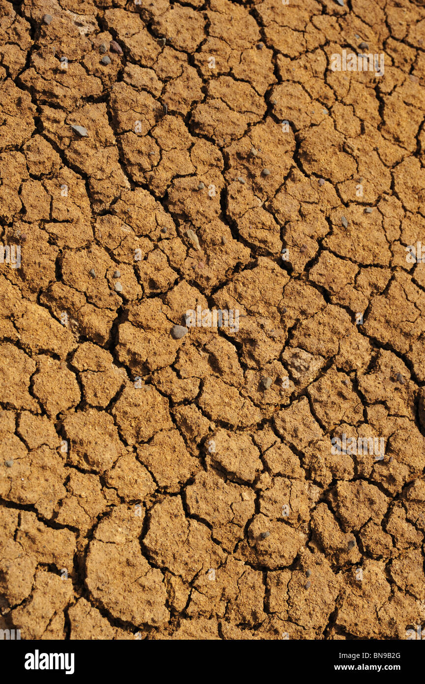 Cracked dry ground texture - background Stock Photo - Alamy