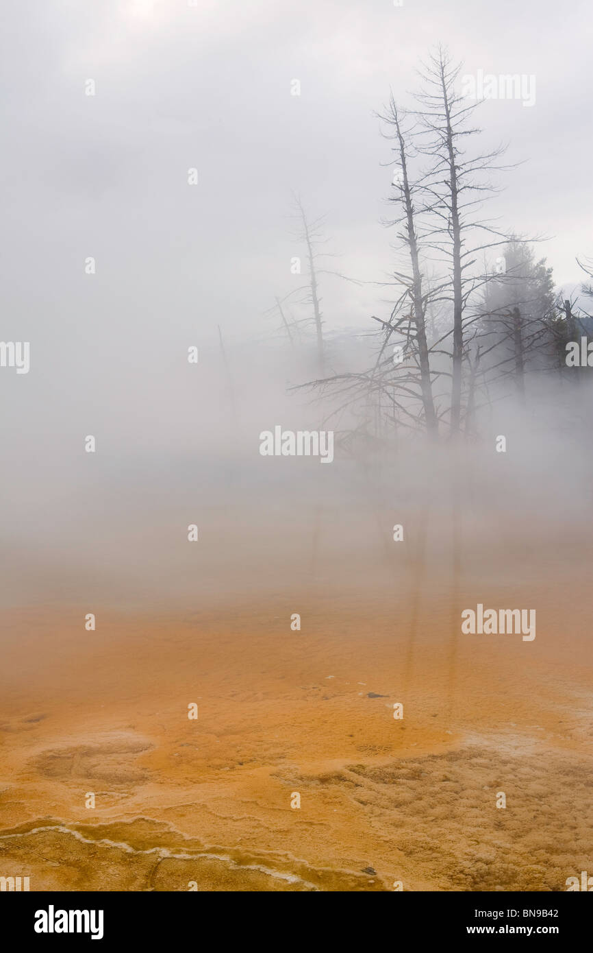 Yellowstone geothermal pools hi-res stock photography and images - Alamy