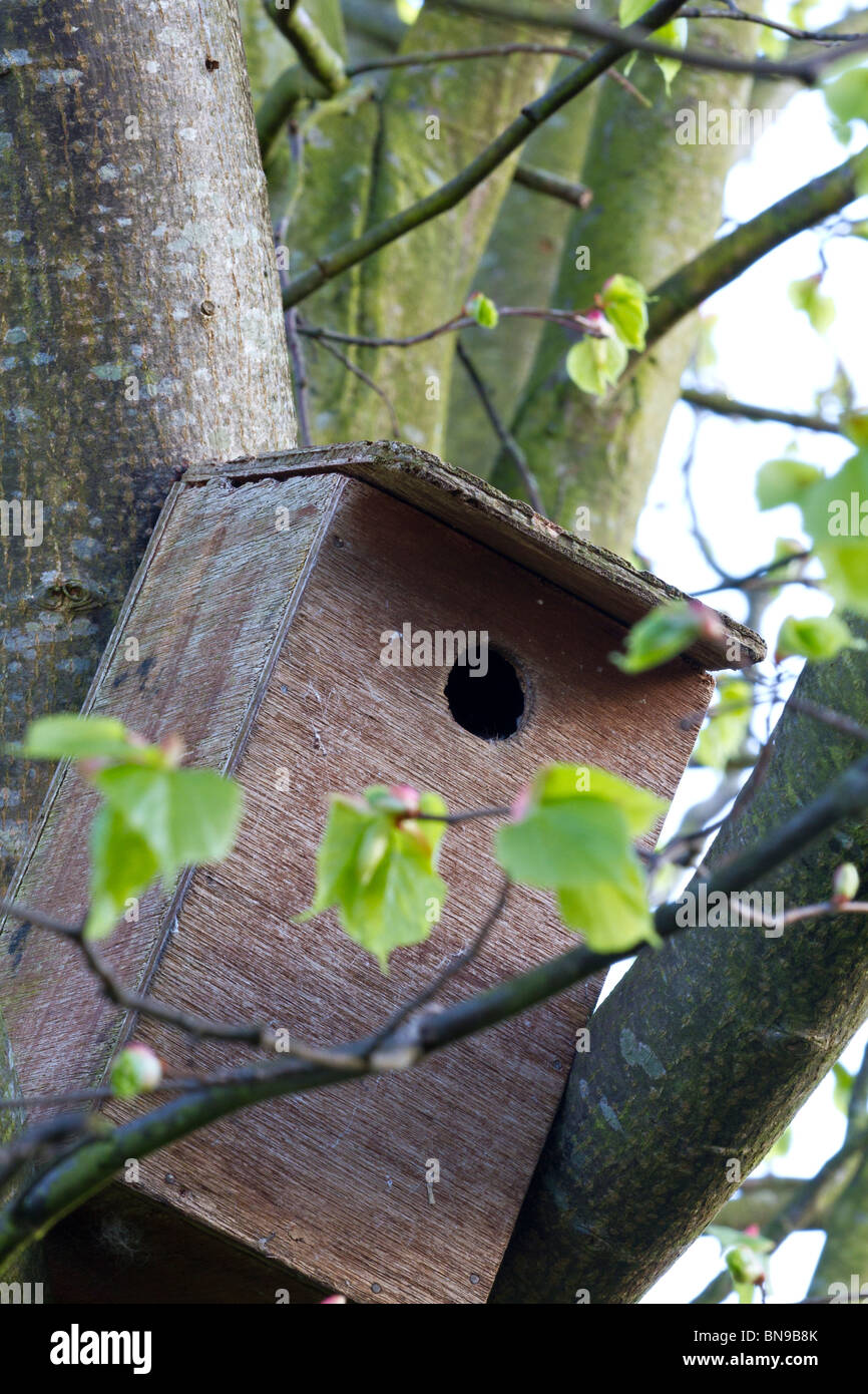 Fixed to tree hi-res stock photography and images - Alamy