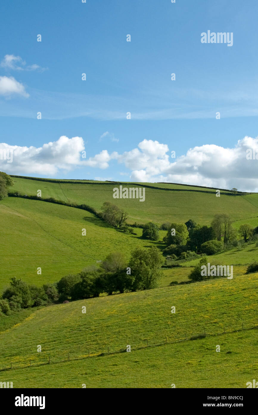 Green fields of england hi-res stock photography and images - Alamy