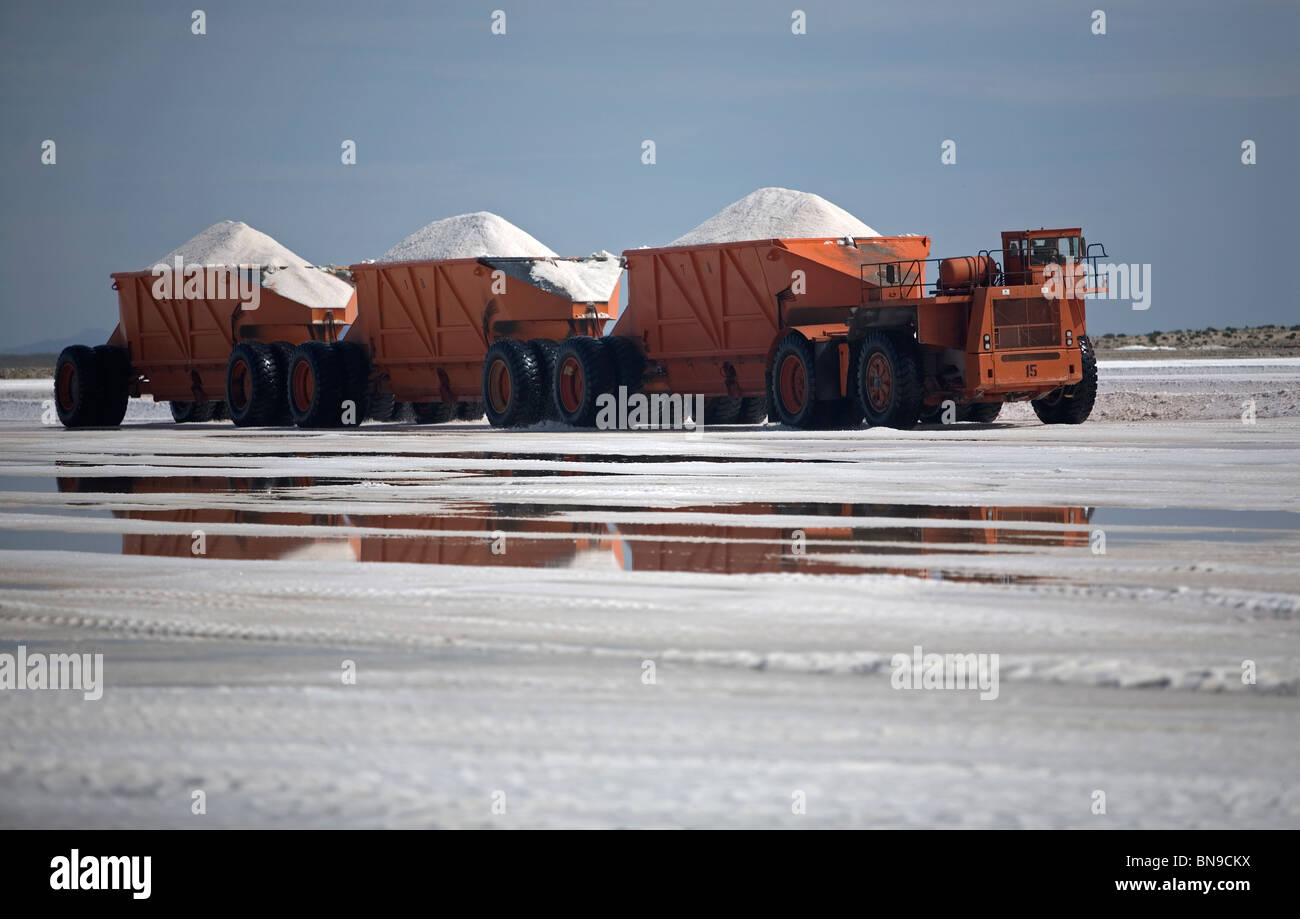 Containers full of salt inside the worlds largest salt factory in ...