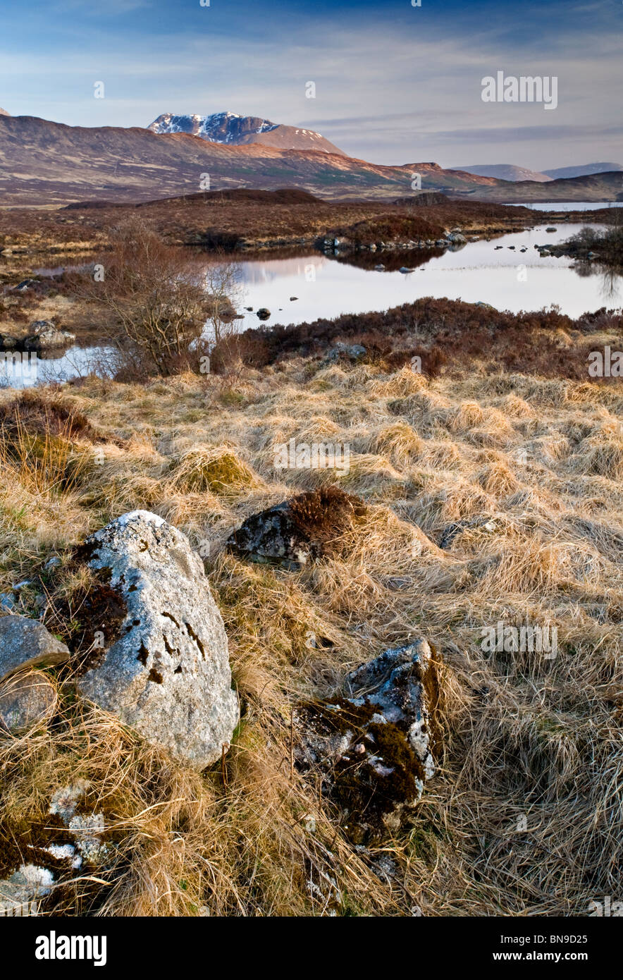Scottish moorland hi-res stock photography and images - Alamy