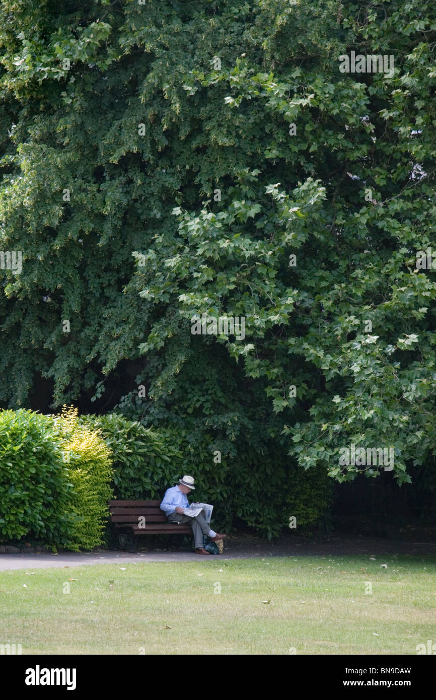 Man sitting under shade tree hi-res stock photography and images - Alamy