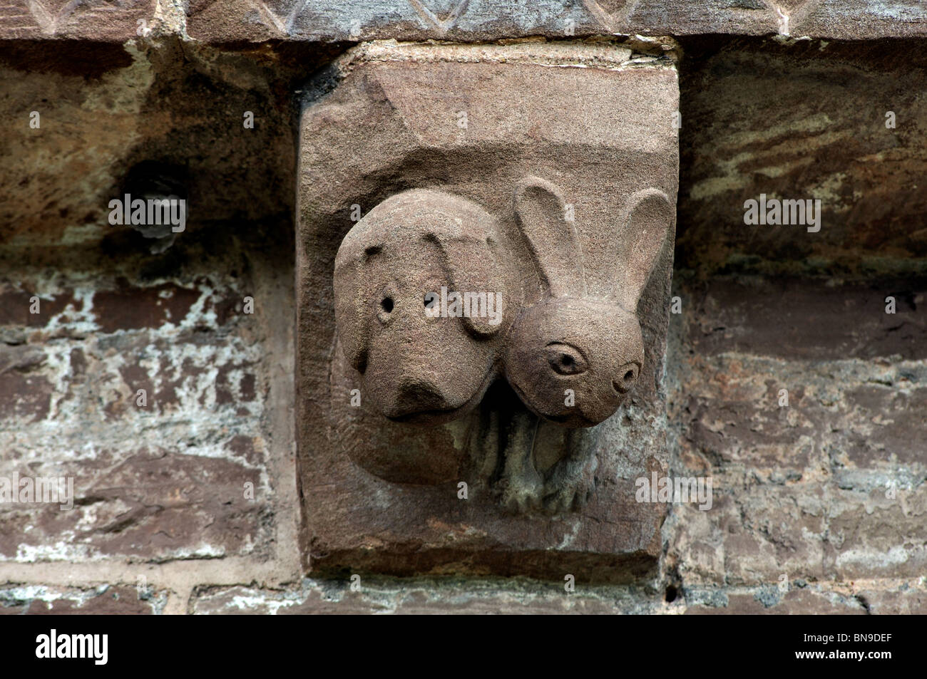 Stone carving on eaves, St. Mary and St. David Church, Kilpeck ...