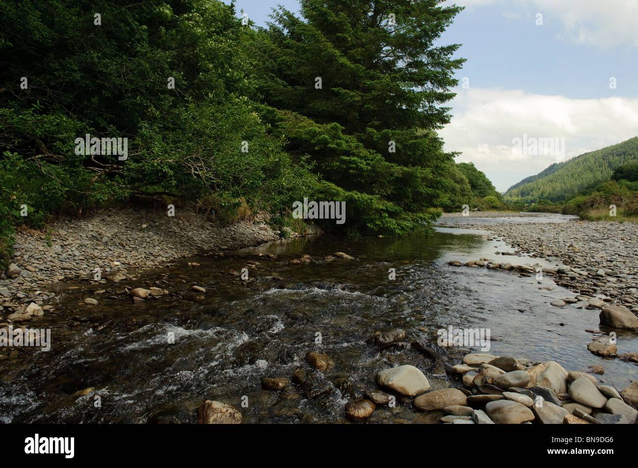 Special sssi hi-res stock photography and images - Alamy