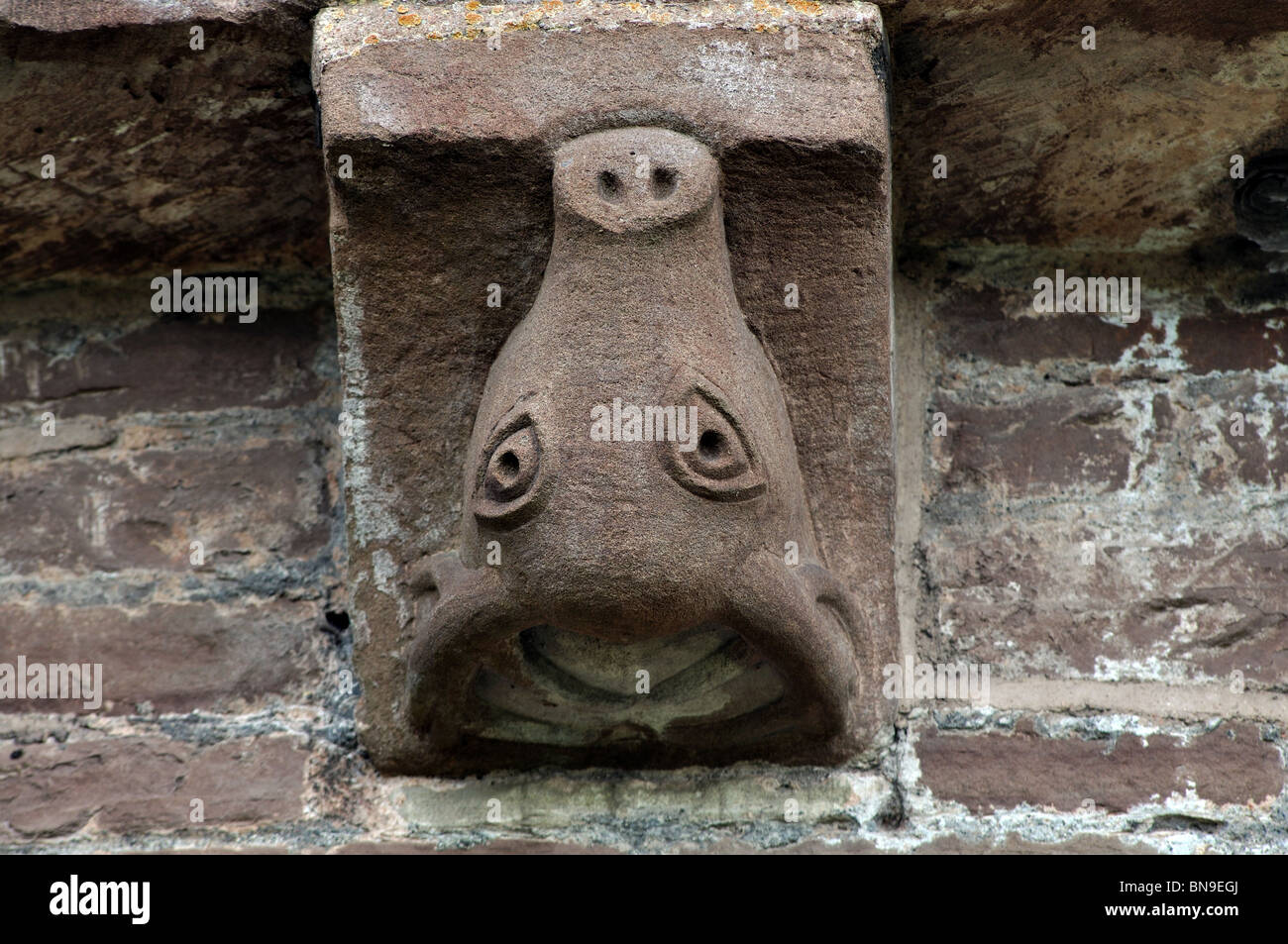Stone carving on eaves, St. Mary and St. David Church, Kilpeck ...