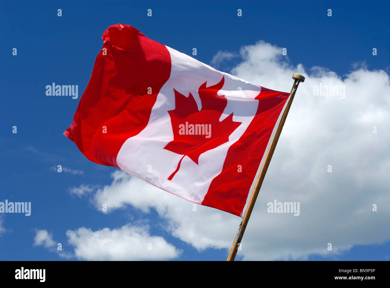 Canadian Maple Leaf National Flag Stock Photo - Alamy