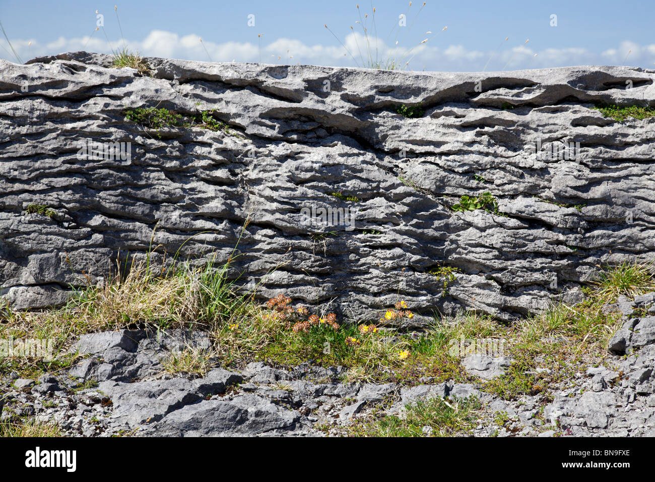 Burren rocks hi-res stock photography and images - Alamy