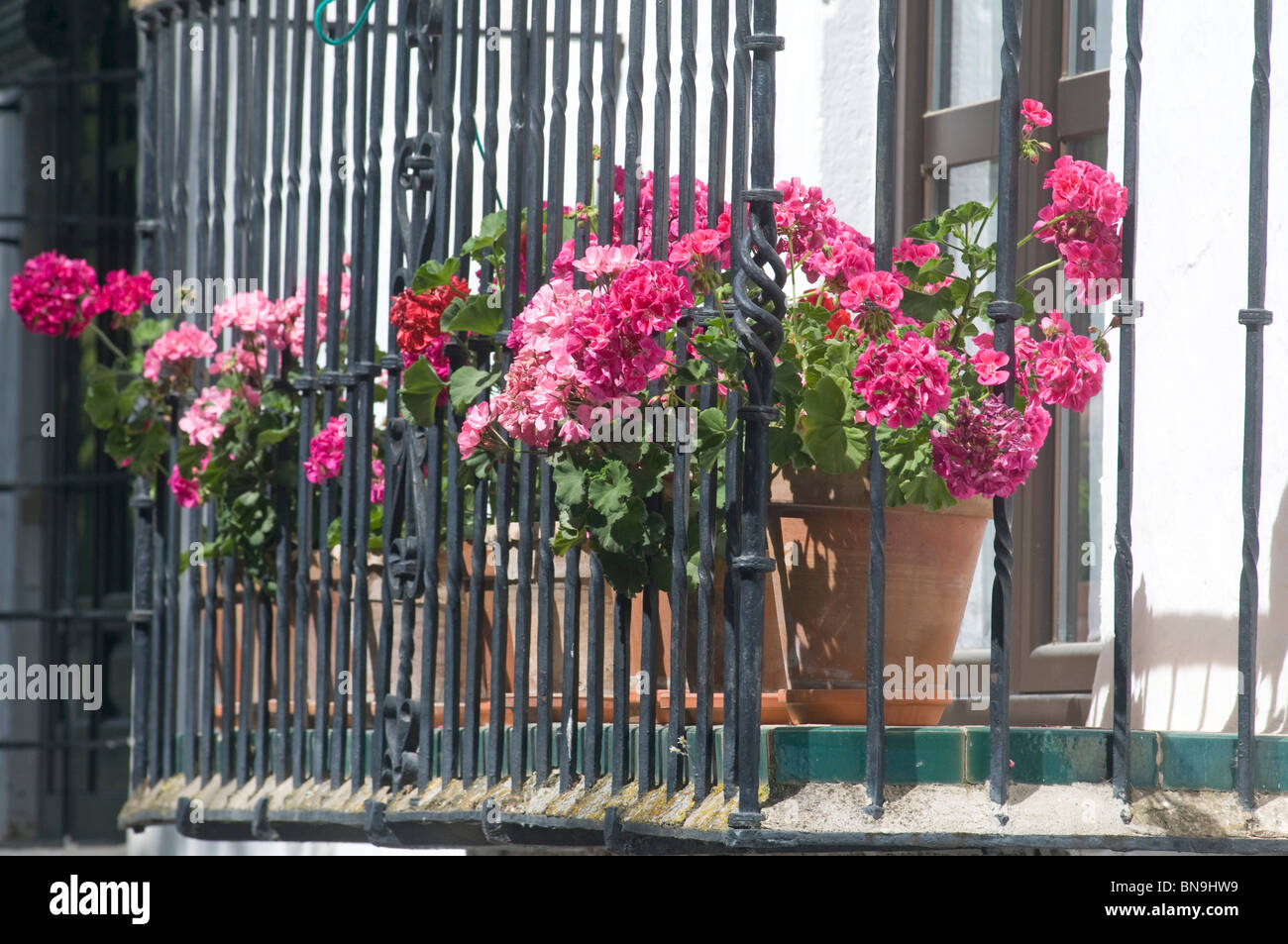 Pink and Red Geranium flowers in window boxes around the narrow streets ...