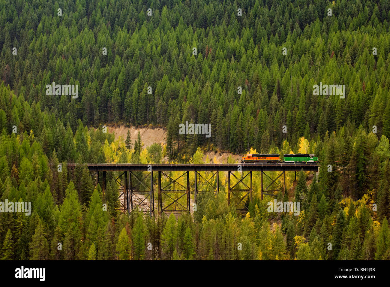 Train going across wide valley near Glacier national Stock Photo - Alamy