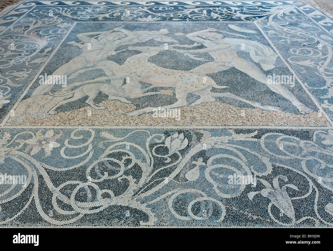 Pella greece mosaic hi-res stock photography and images - Alamy