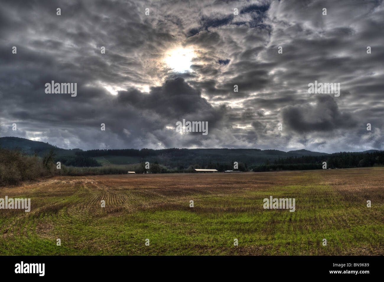 Dramatic Empty Grass Field With Sun Bursting Through A Dark Overcast ...