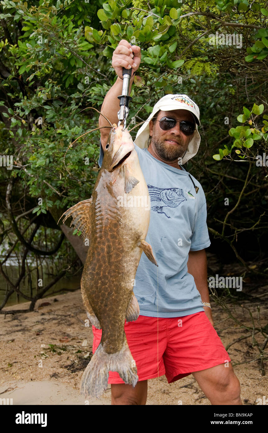 Amazon pool fish hi-res stock photography and images - Alamy