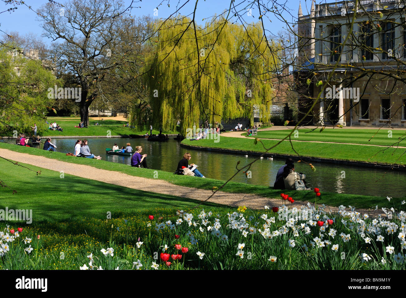 Spring flowers on cambridge backs hi-res stock photography and images ...