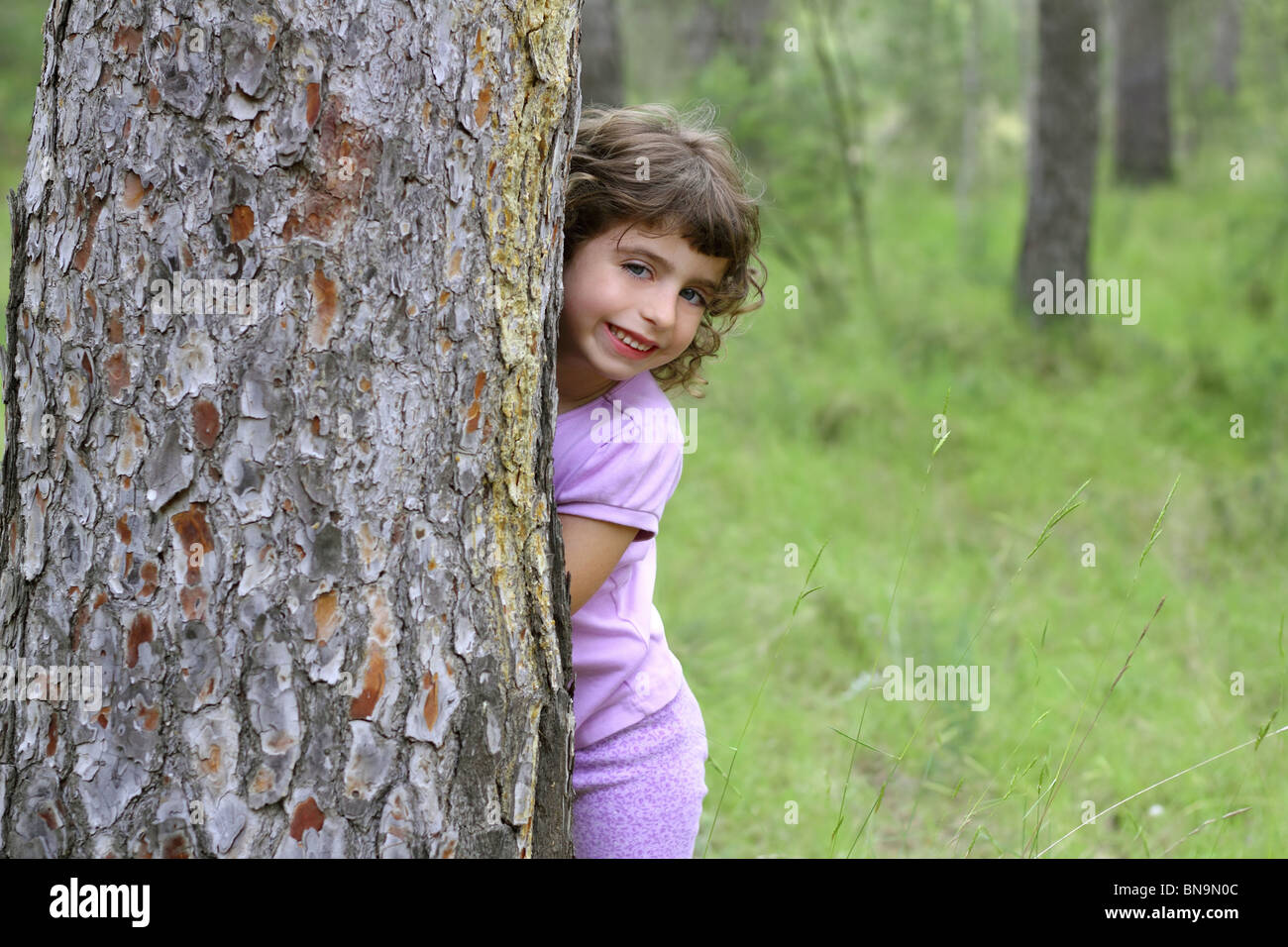 little girl hide park tree trunk green pine forest outdoor Stock Photo ...