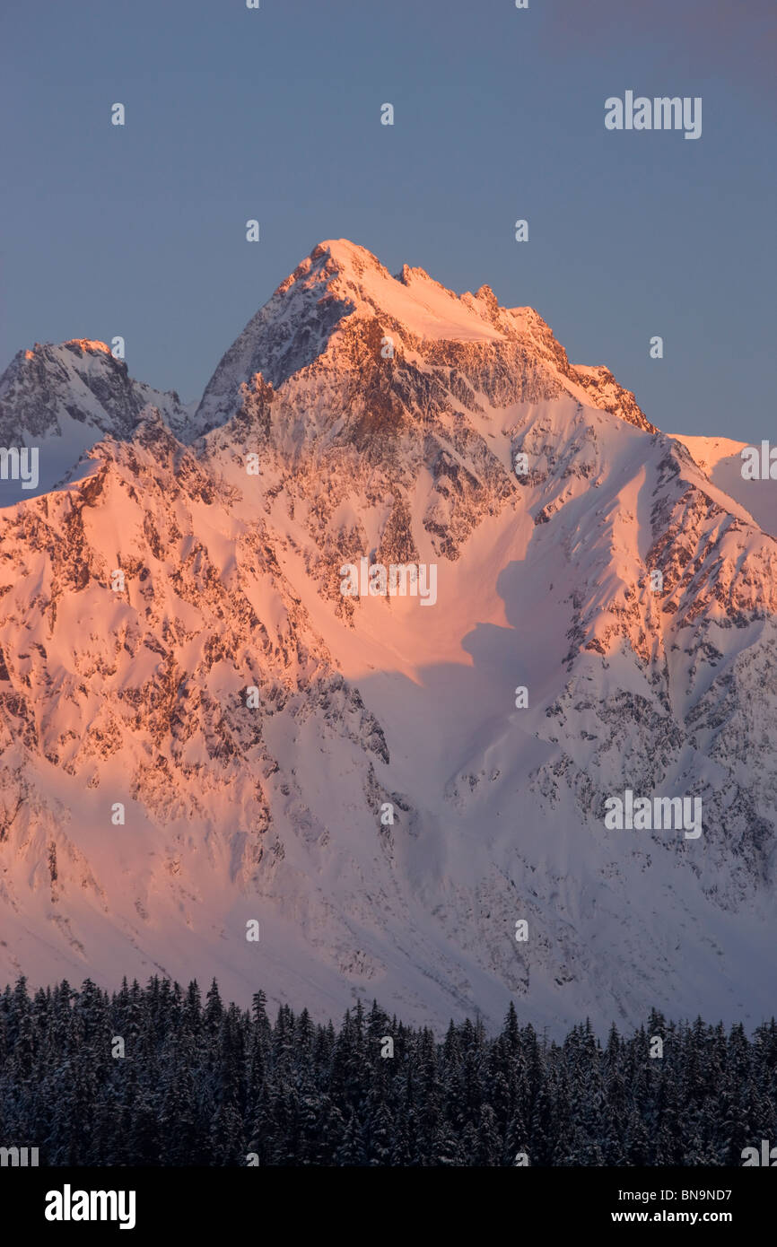 Winter in the Chugach National Forest, Seward, Alaska Stock Photo - Alamy