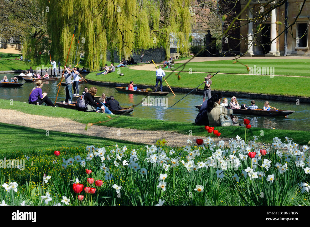 Spring flowers on cambridge backs hi-res stock photography and images ...