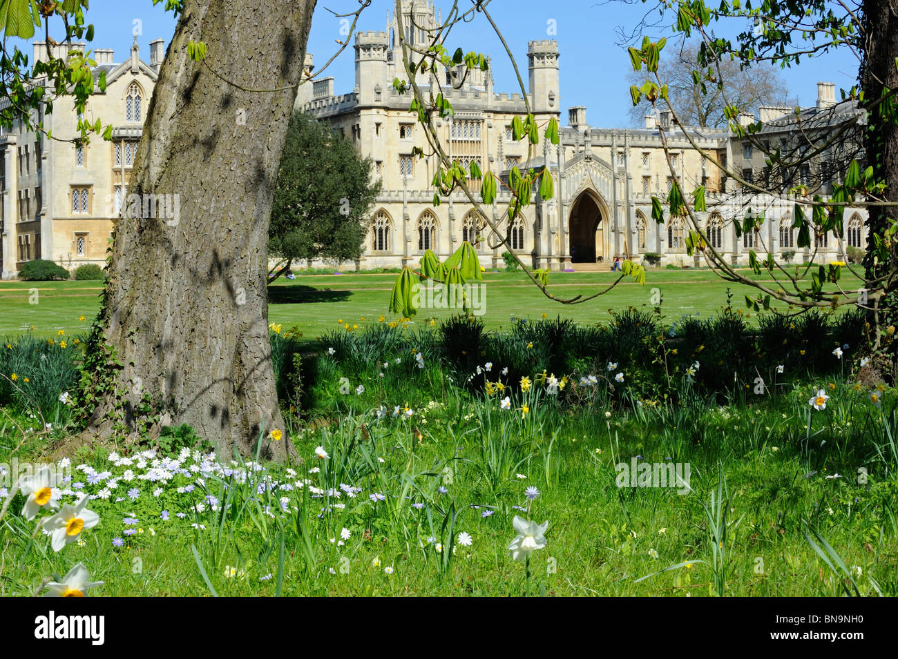 Cambridge England Spring High Resolution Stock Photography and Images ...
