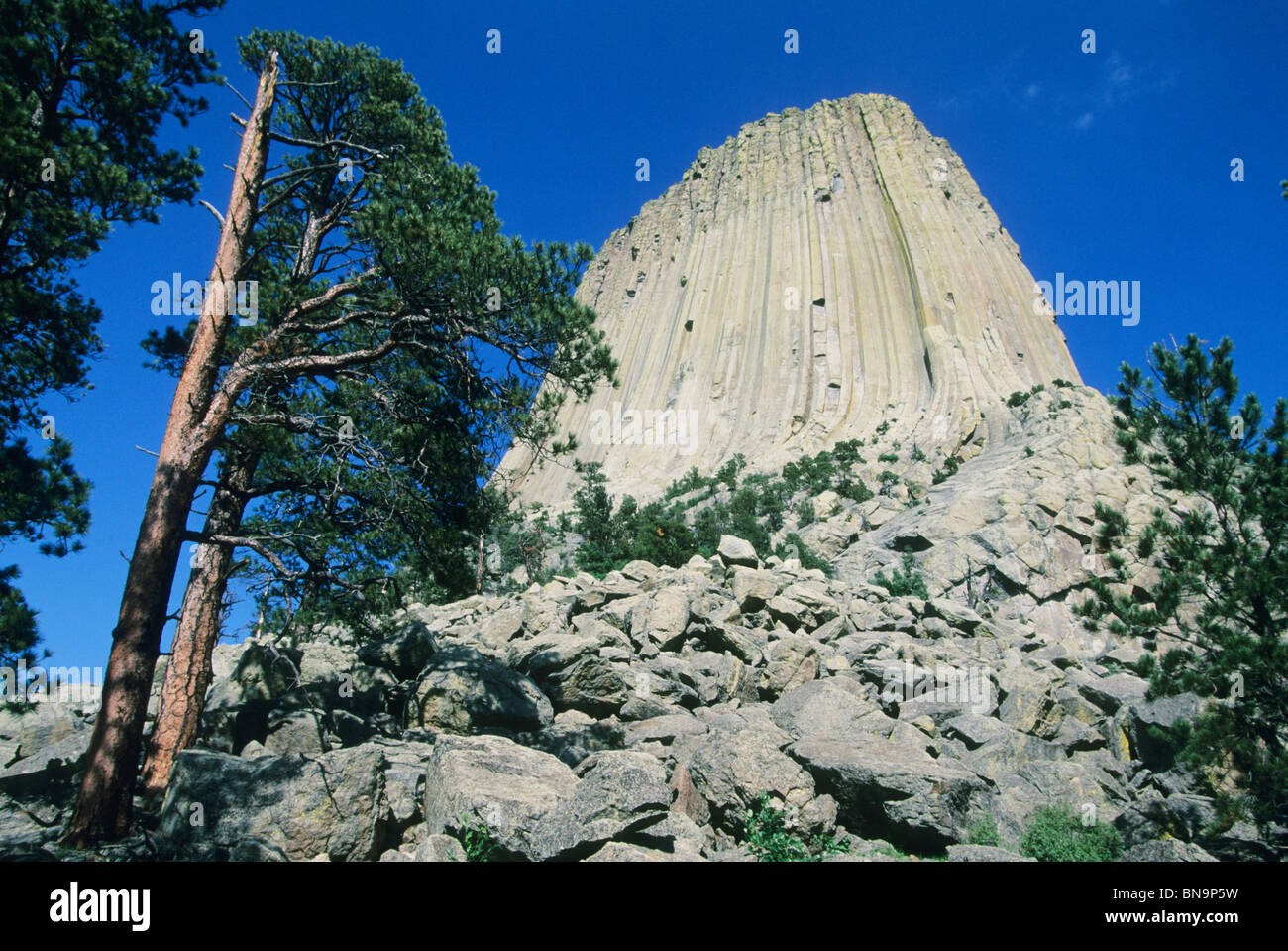 USA, Wyoming, Devils Tower, Devils Tower National Monument, 867' high ...