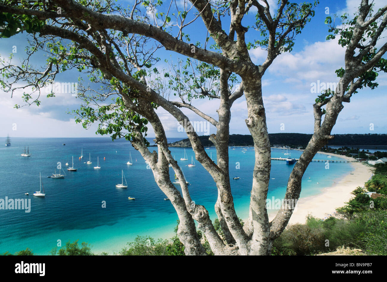 Island harbor anguilla hi-res stock photography and images - Alamy