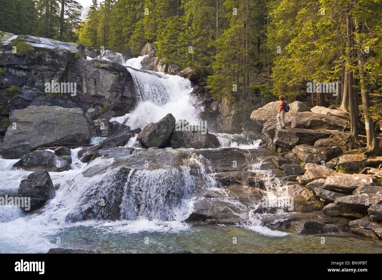 Waterfall model hi-res stock photography and images - Alamy