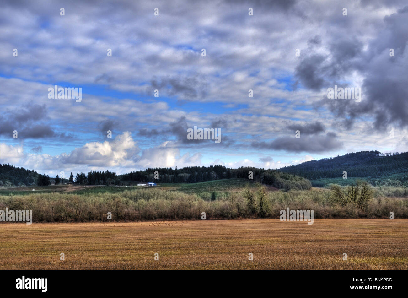Simple landscape bright cloudy sky hi-res stock photography and images ...