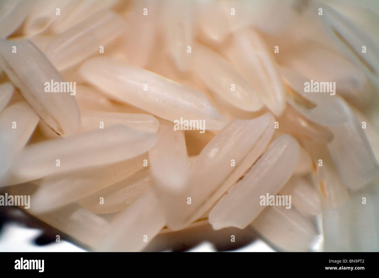 Grains of rice Stock Photo - Alamy