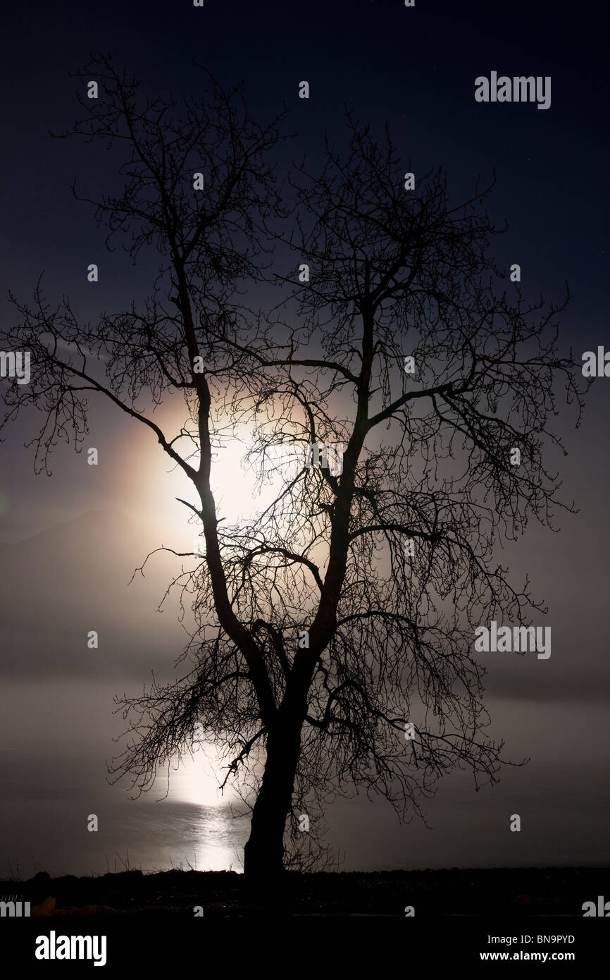 Full moon over Resurrection Bay, Seward, Alaska Stock Photo - Alamy