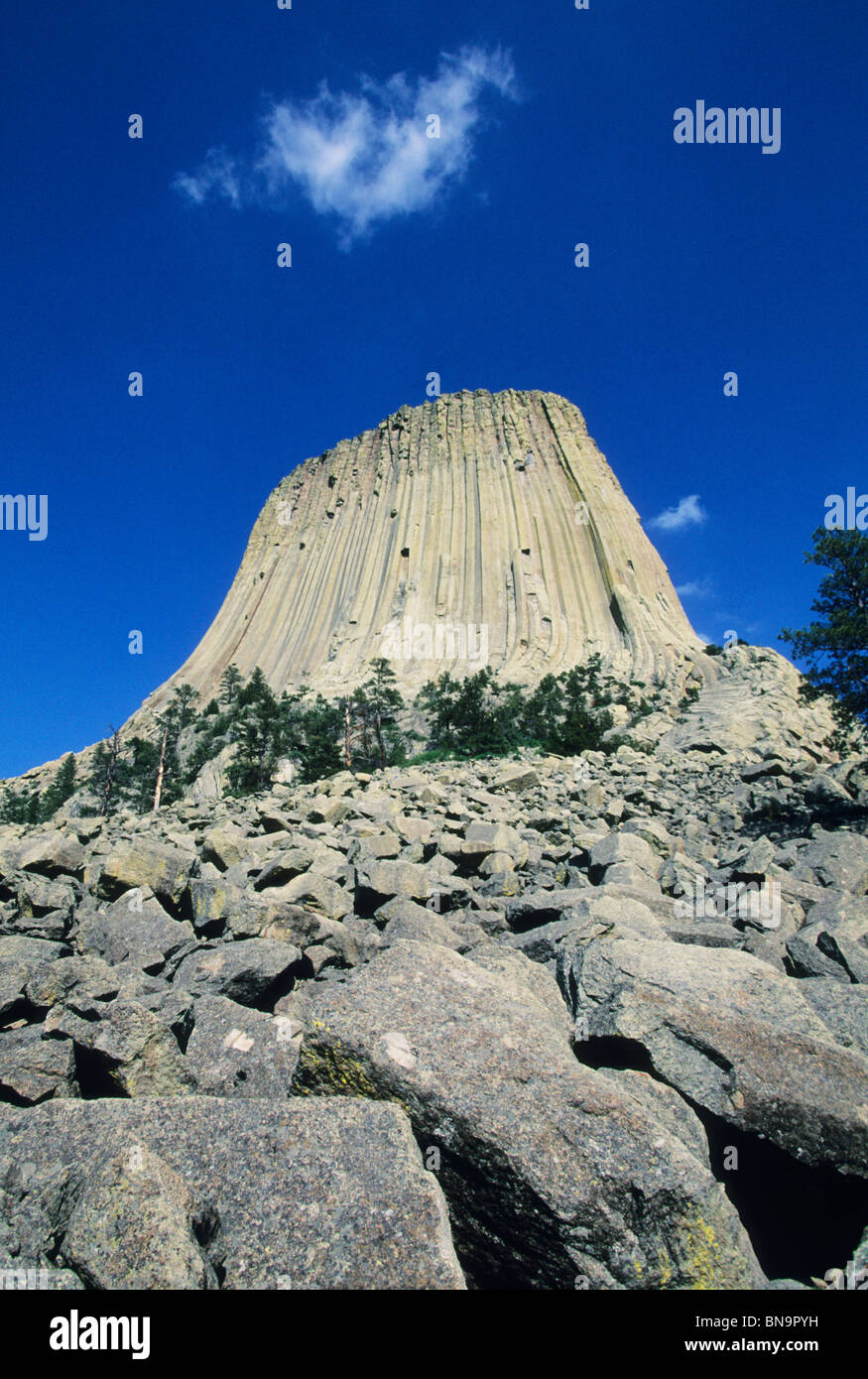 USA, Wyoming, Devils Tower, Devils Tower National Monument, 867' high ...