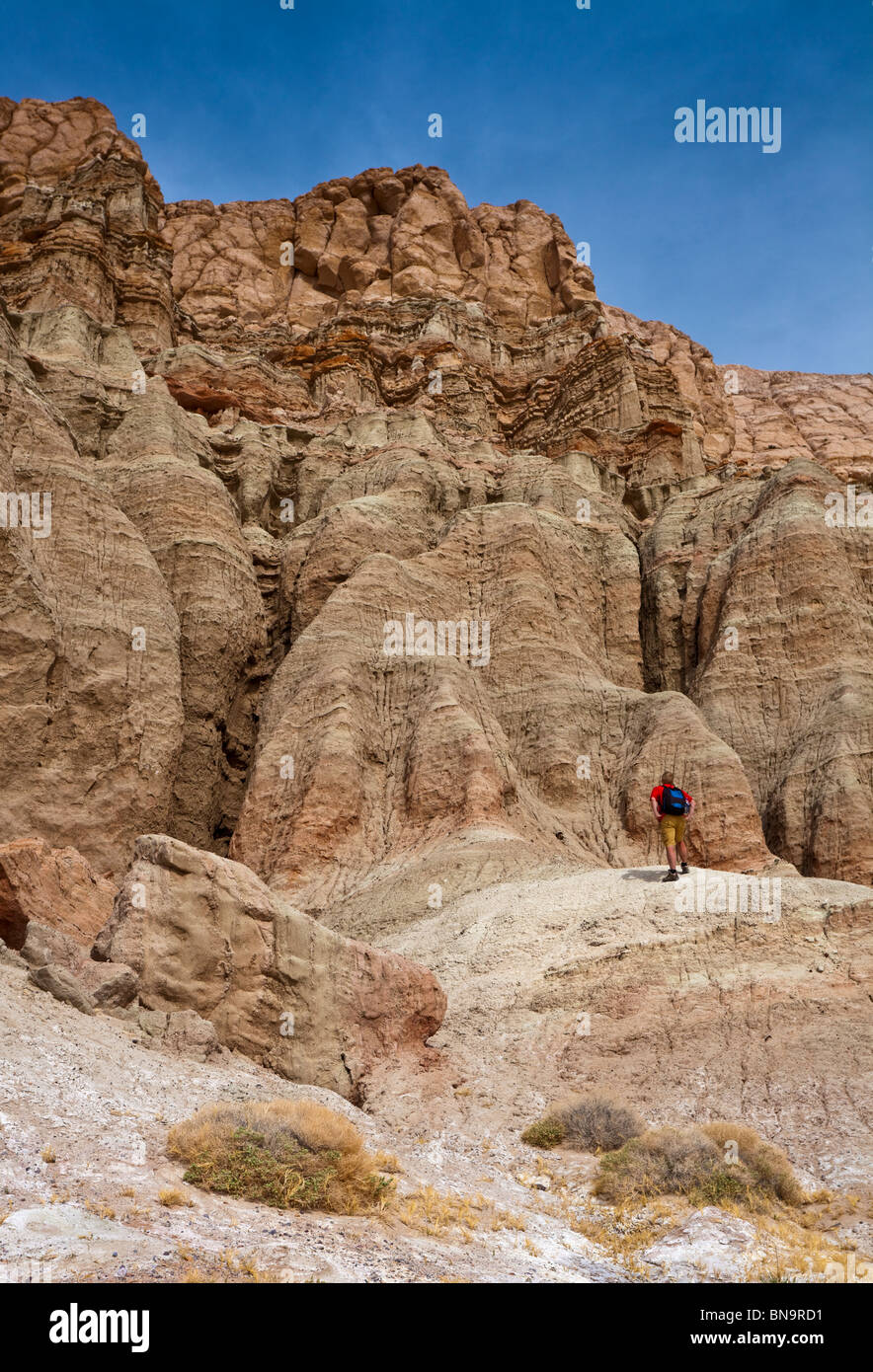 A hiker approaching the surreal red cliffs of Red Rocks Canyon State ...