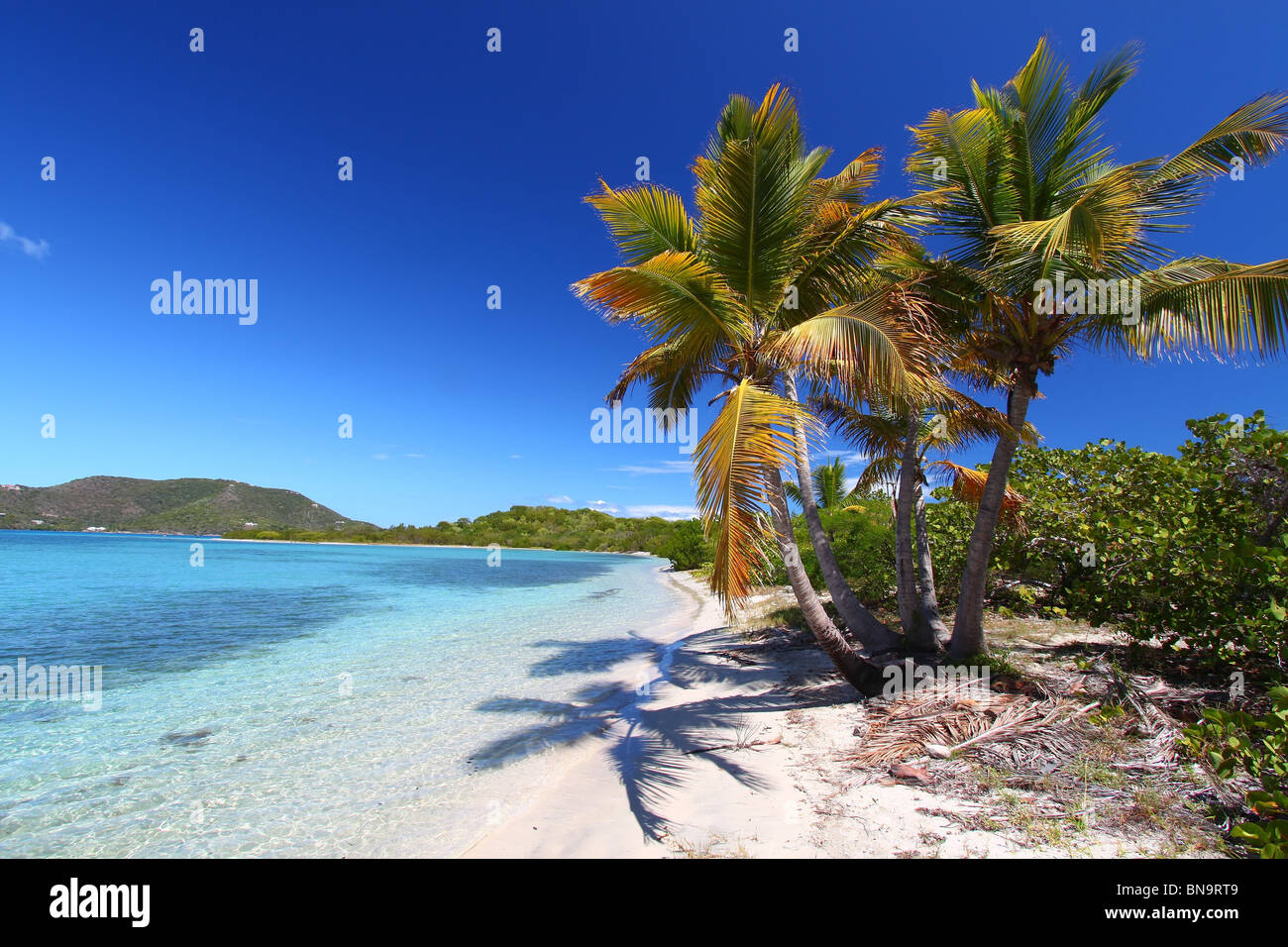 Beef Island Beach - British Virgin Islands Stock Photo - Alamy