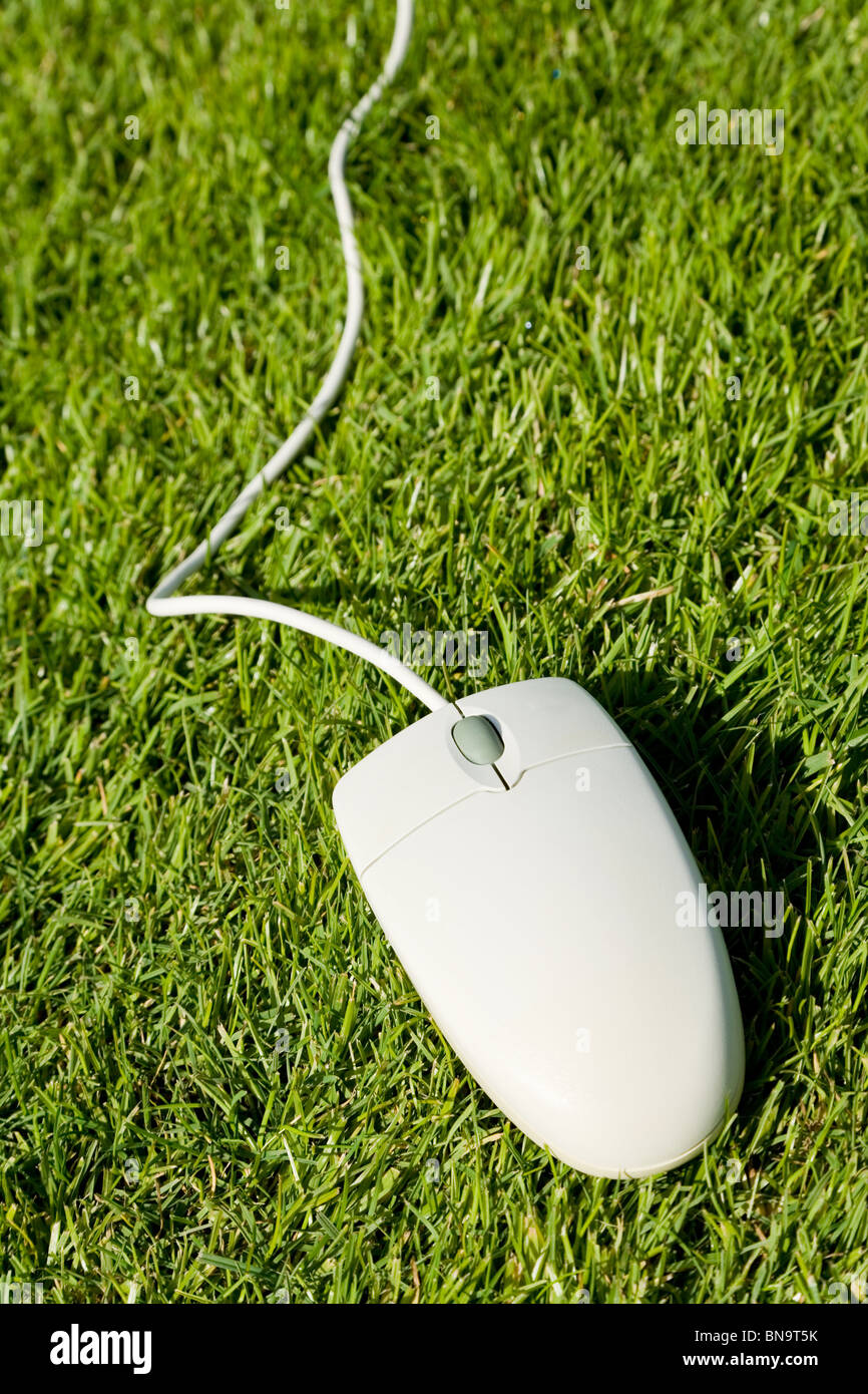 Computer Mouse and lawn, concept of Freedom, Environment Protection ...