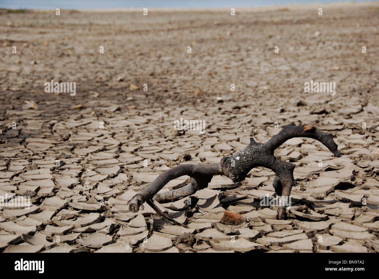 Parched Earth - Over use of water finds many water system particulaly ...